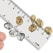 Miniature Parrot Skulls (Scarlet Macaw) - 1:12 Scale dollhouse and dio ...