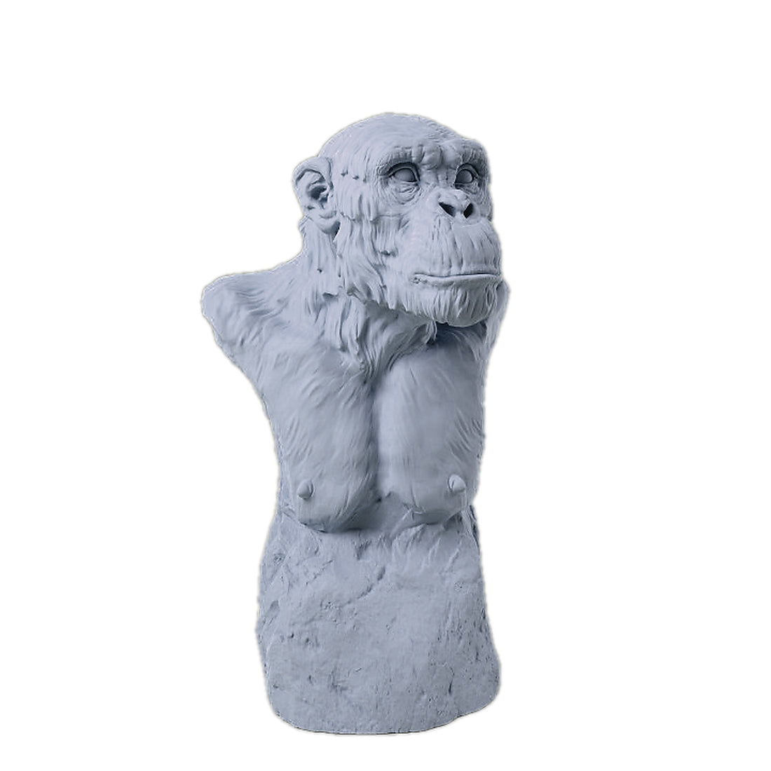 Common Chimpanzee Bust | Animal Den Miniatures – The Scale Grail