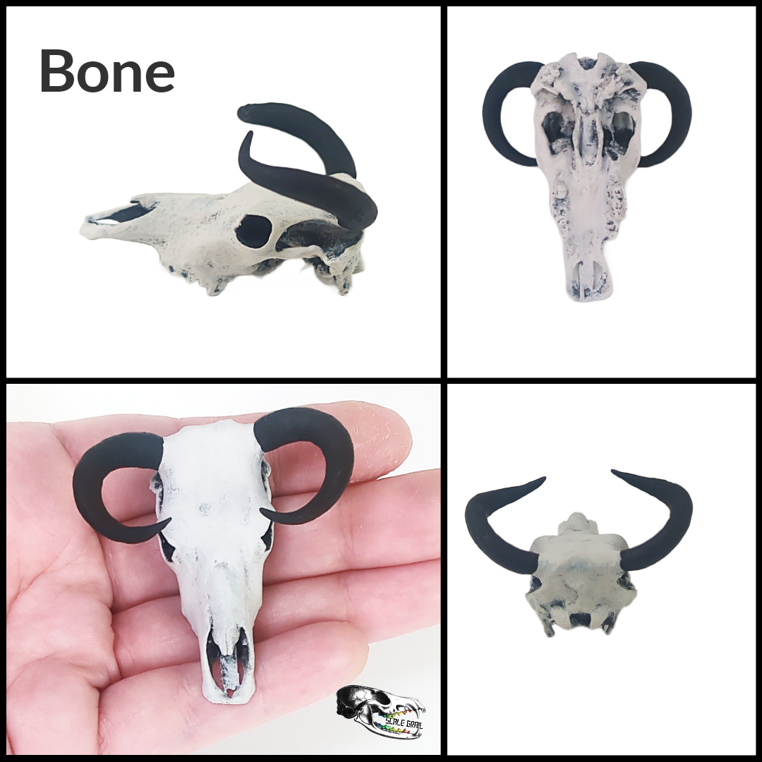 Auroch 1:24 Skull Replica – The Scale Grail