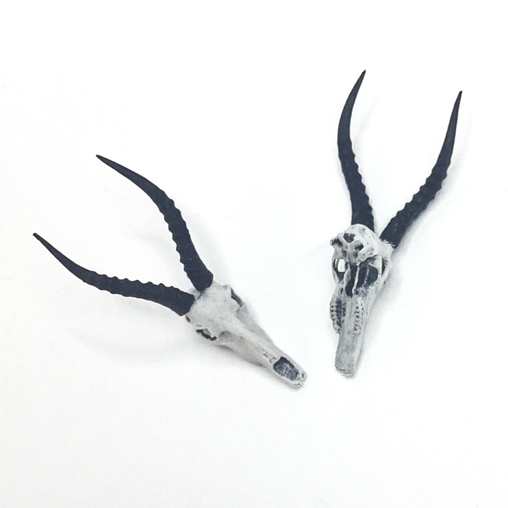 Blesbuck Skull Replica - 1:12 scale (2 skulls) – The Scale Grail