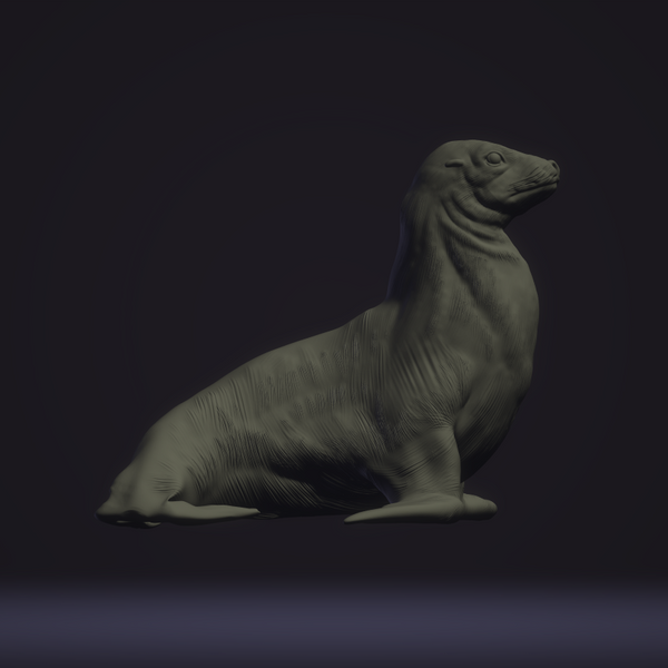 Japanese Sea Lion - Zalophus japonicus - Scale miniature for diorama b ...